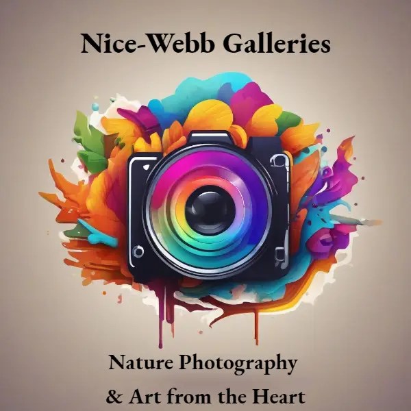 Home - Nice-Webb Galleries